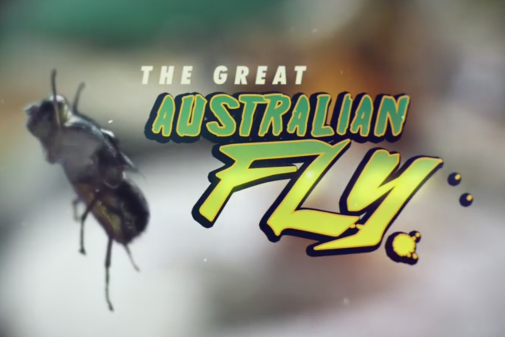 GreatAussieFly | Natural History Nature Documentary
